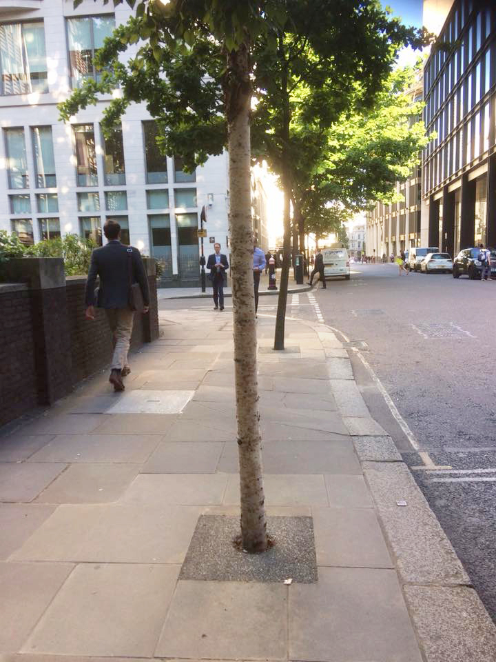 Key facts | STAG - Sheffield Tree Action Groups